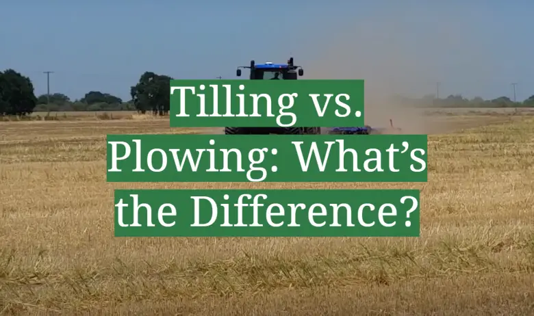 Tilling vs. Plowing: What’s the Difference? - GardenProfy