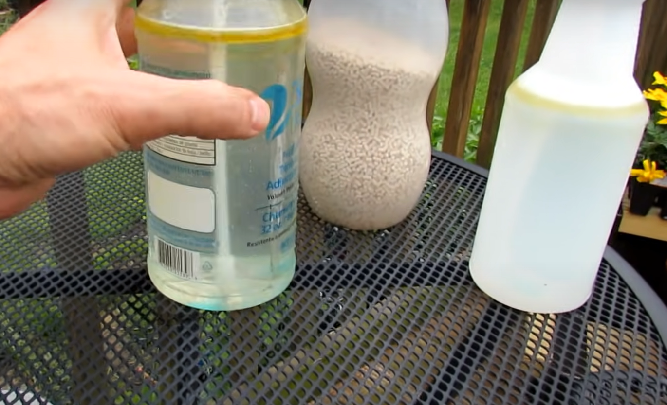 Does Neem Oil Kill Slugs and Snails? - GardenProfy