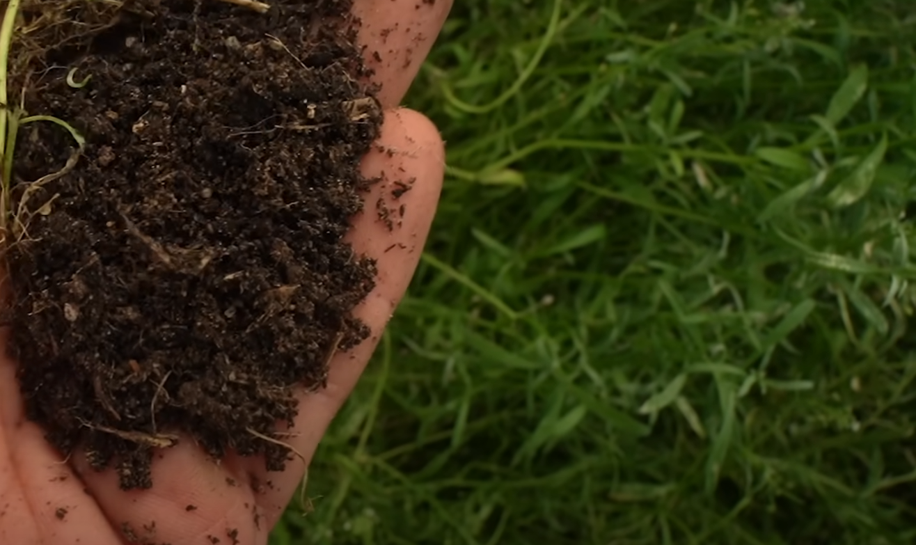 Garden Tilling Pros and Cons - GardenProfy