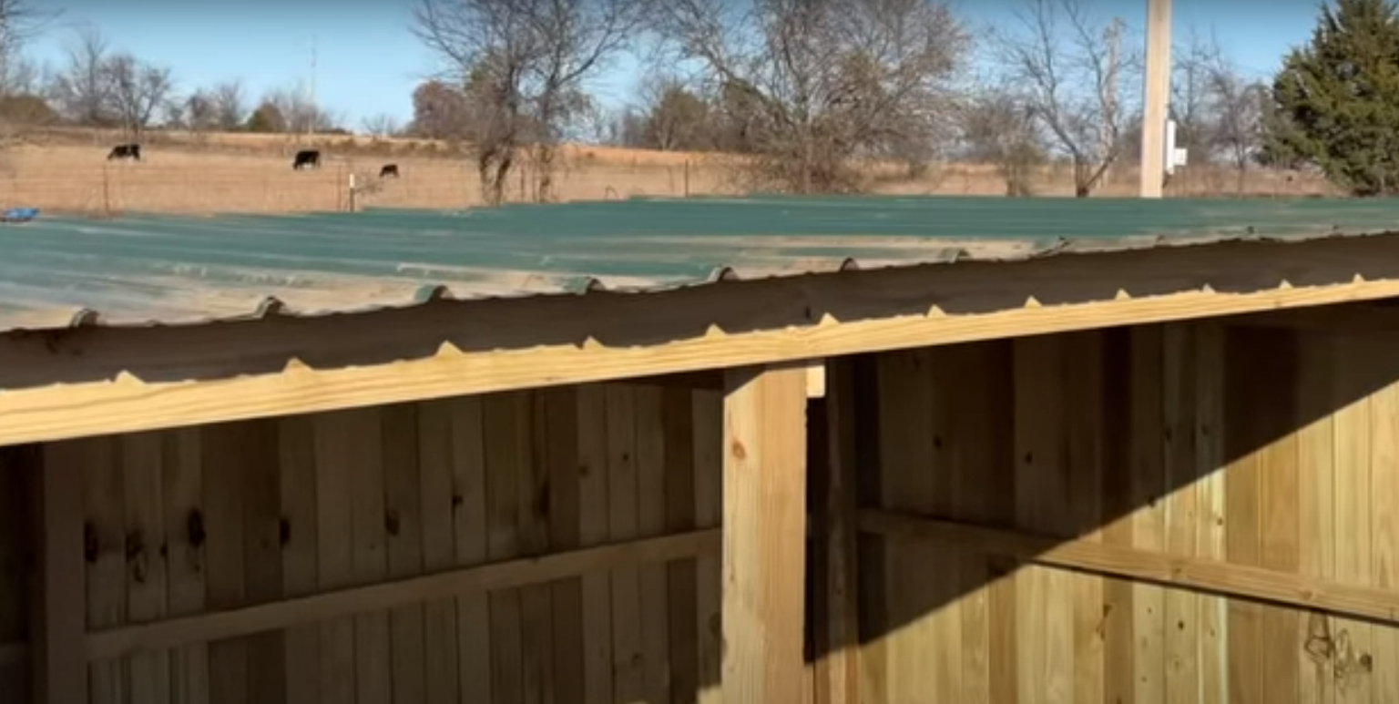 What Is a Loafing Shed? - GardenProfy