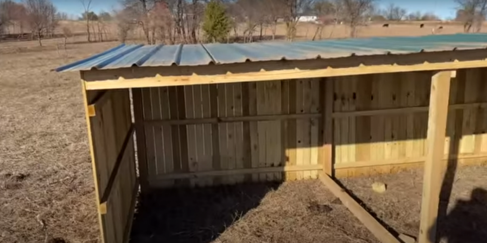 What Is a Loafing Shed? - GardenProfy