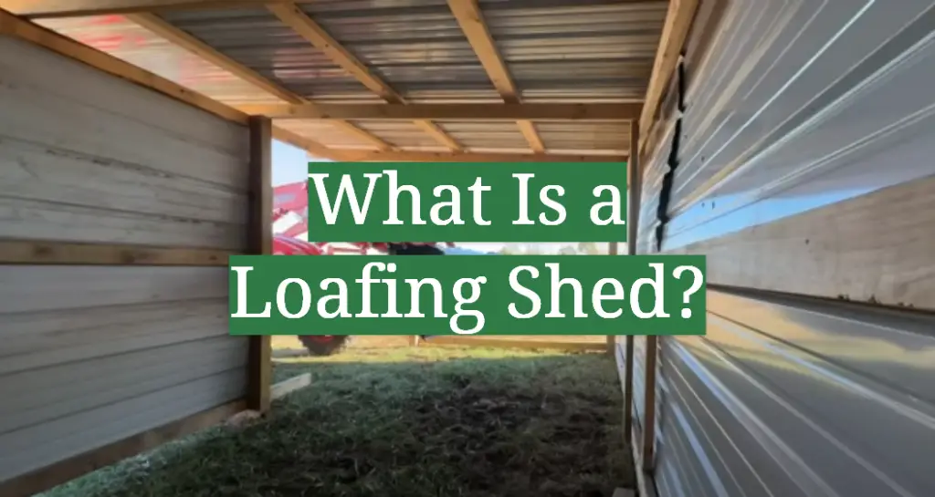 What Is a Loafing Shed? - GardenProfy