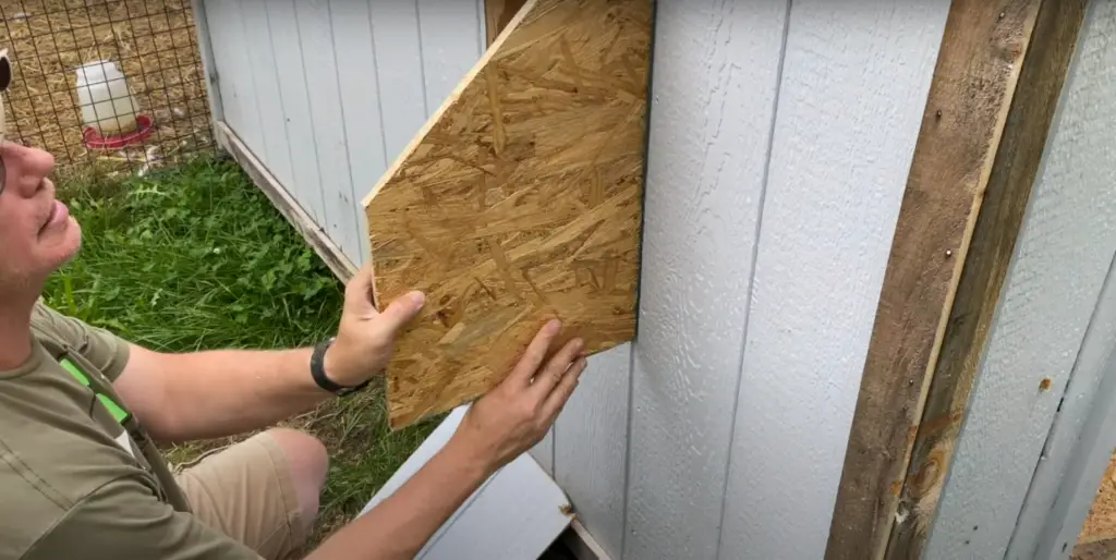 How to Turn a Shed Into a Chicken Coop? - GardenProfy