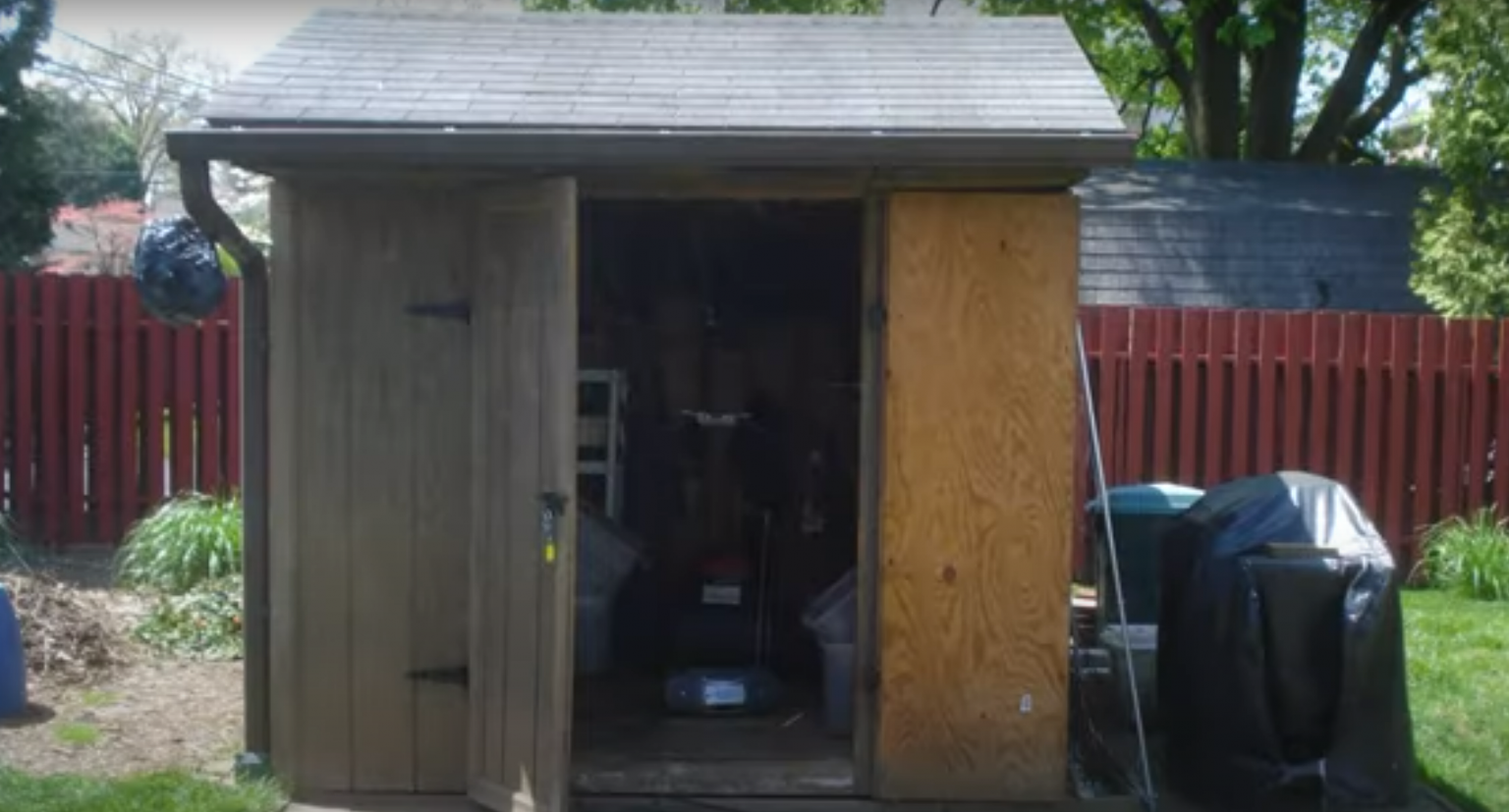 How to Get Rid of Skunks Under a Shed? - GardenProfy