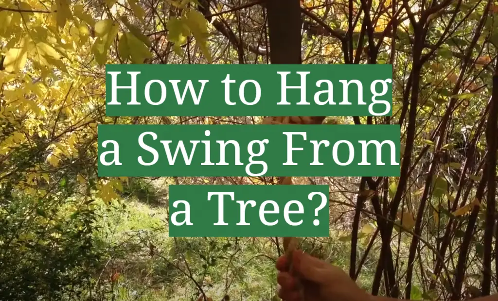 How to Hang a Swing From a Tree? - GardenProfy