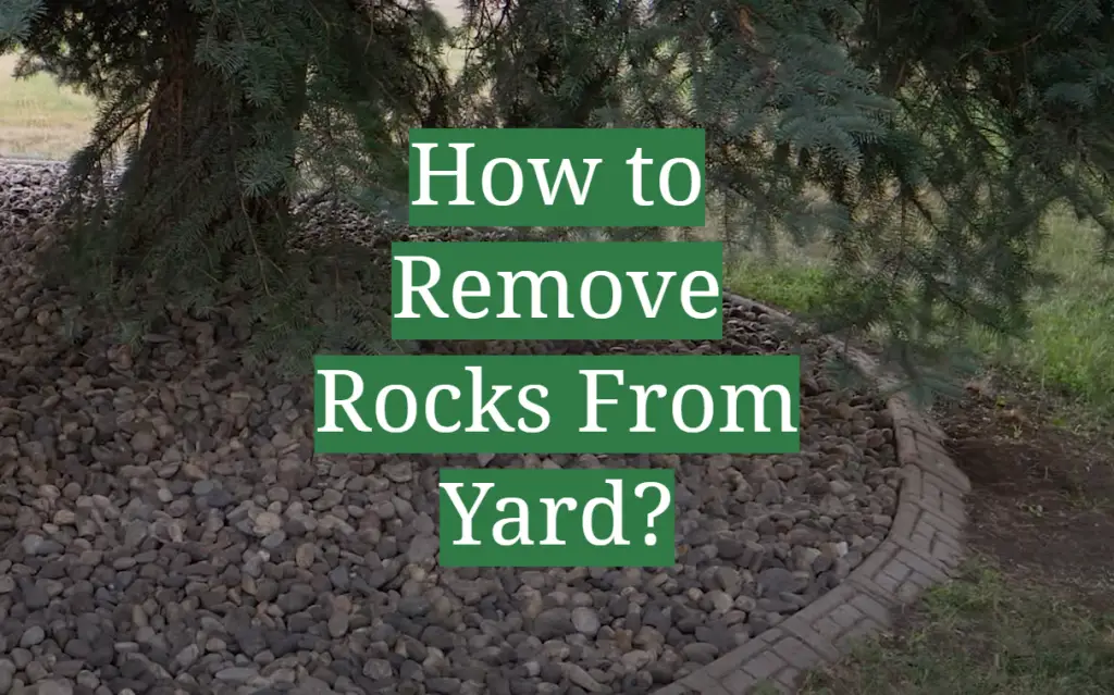 How to Remove Rocks From Yard? - GardenProfy