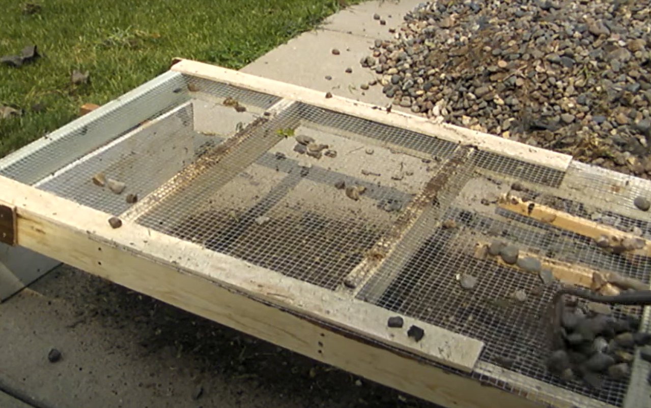 How to Remove Rocks From Yard? - GardenProfy