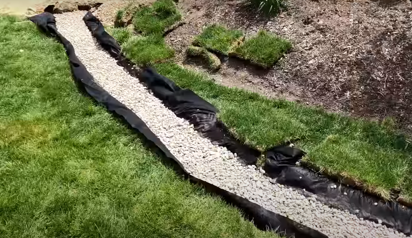 How to Remove Rocks From Yard? - GardenProfy