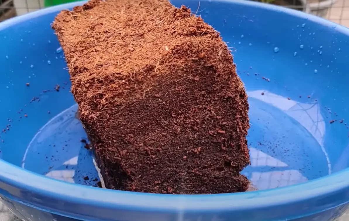How to Store Potting Soil? - GardenProfy