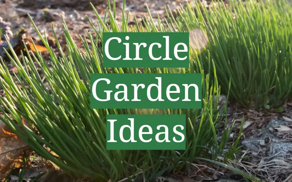 Circle Garden Ideas - GardenProfy