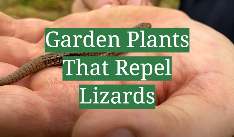 Garden Plants That Repel Lizards - GardenProfy