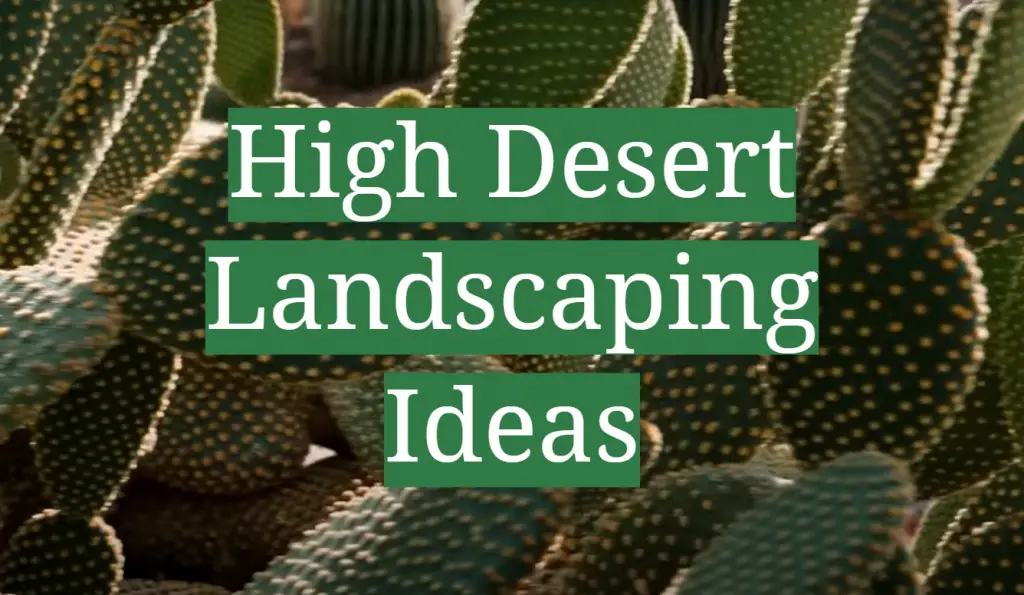 High Desert Landscaping Ideas - GardenProfy