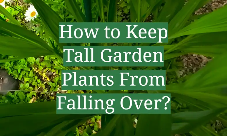 How to Keep Tall Garden Plants From Falling Over? - GardenProfy