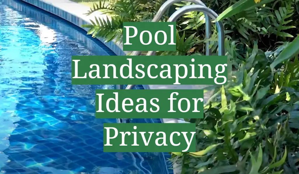 Pool Landscaping Ideas for Privacy - GardenProfy