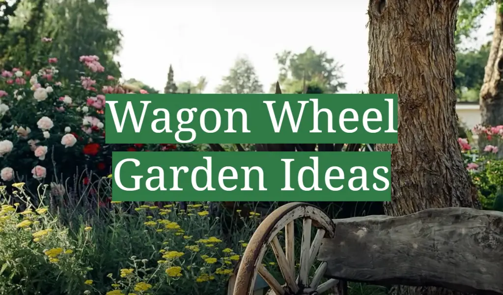 Wagon Wheel Garden Ideas - GardenProfy