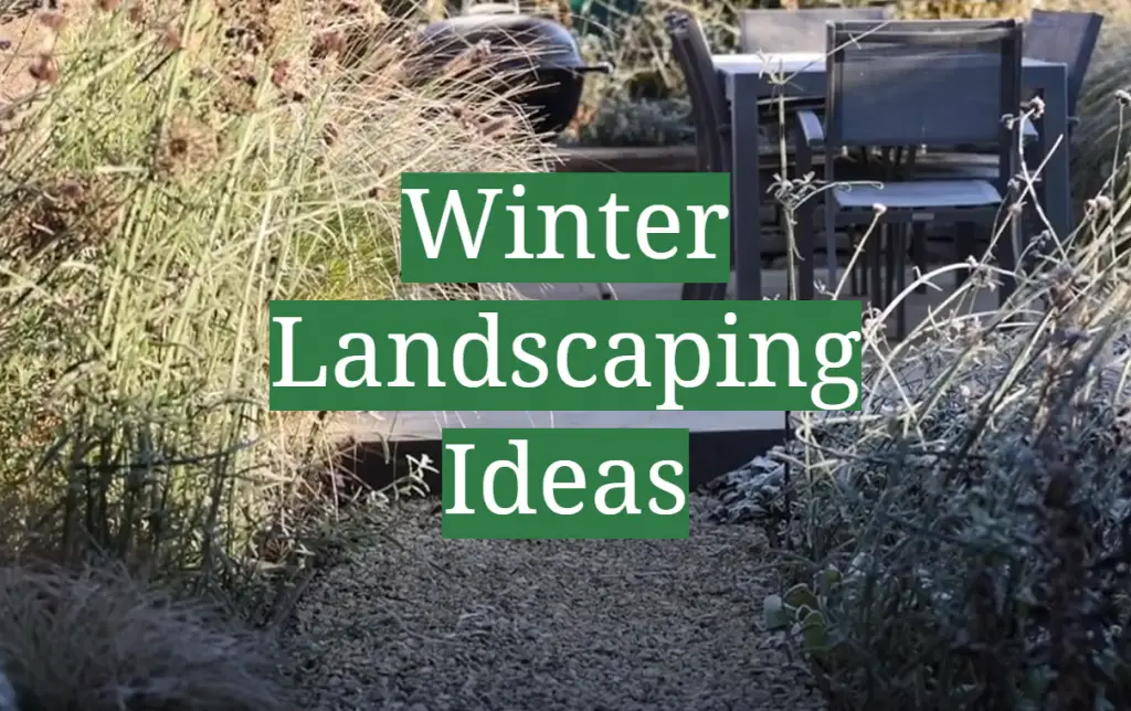 Winter Landscaping Ideas - GardenProfy