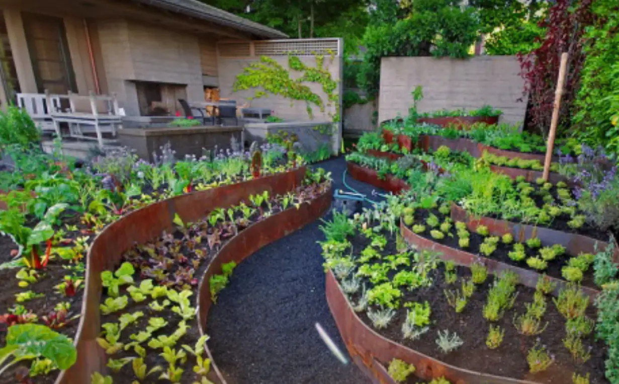 Front Yard Vegetable Garden Ideas - GardenProfy