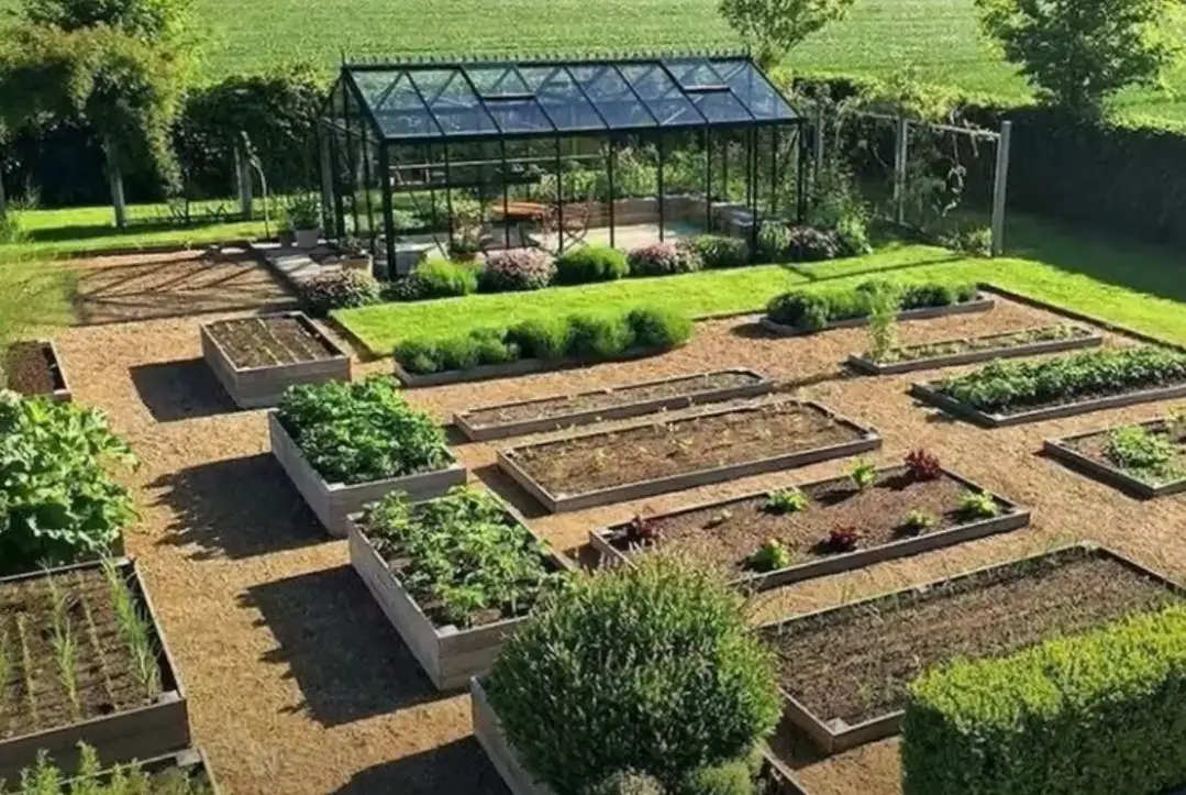 Front Yard Vegetable Garden Ideas Gardenprofy