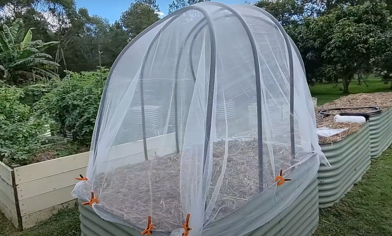 Garden Netting Ideas - GardenProfy