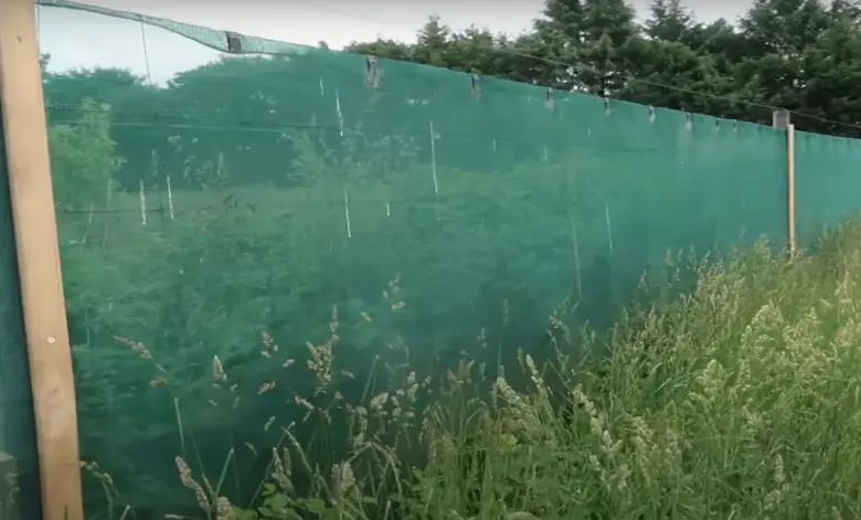 Garden Windbreak Ideas - GardenProfy