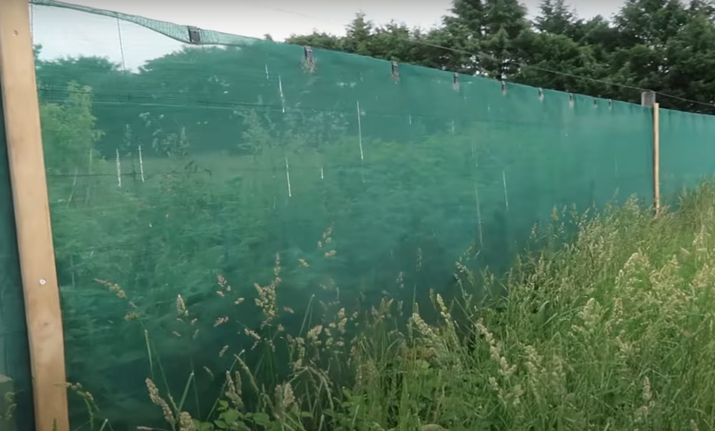 Garden Windbreak Ideas - GardenProfy