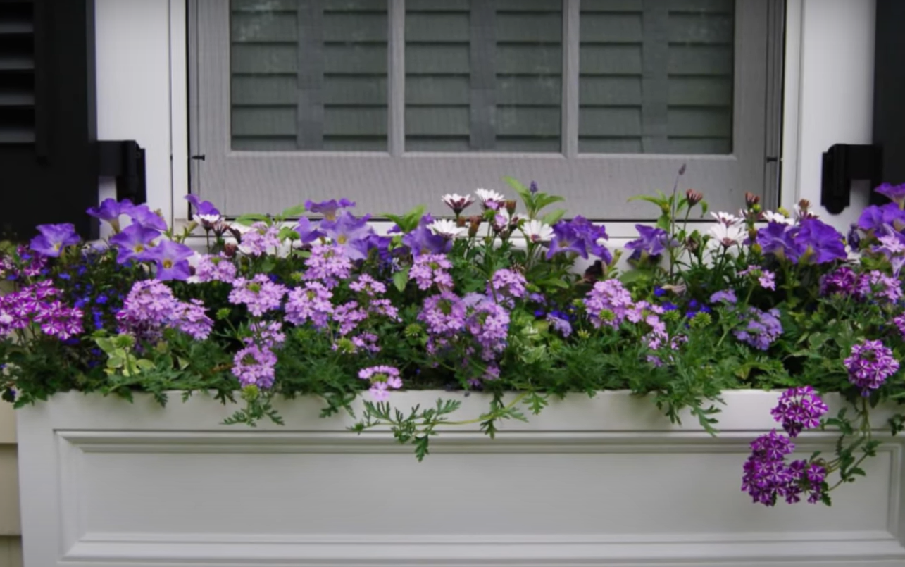 Garden Window Ideas - GardenProfy