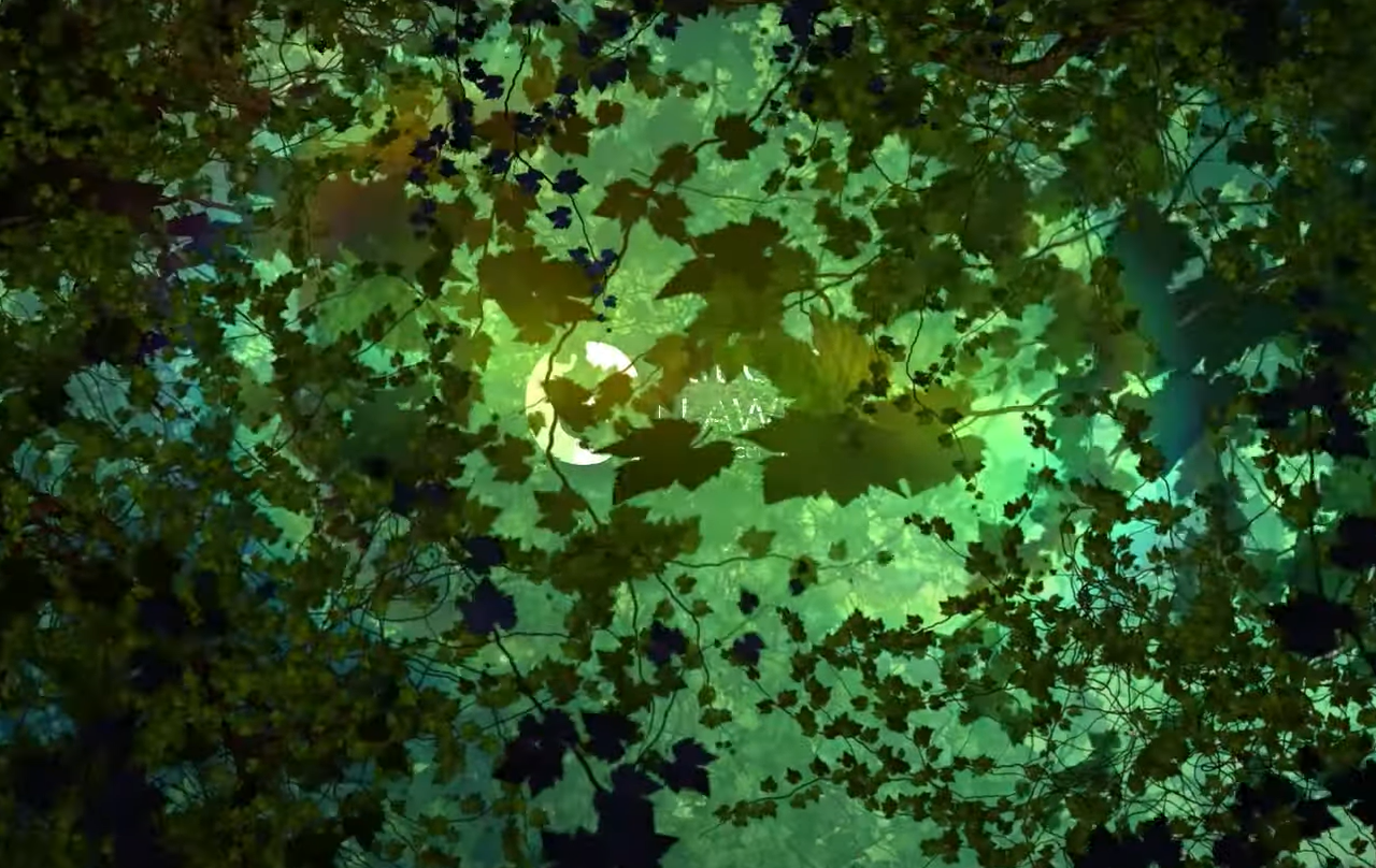 How to Get Rid of Maggots in the Garden? - GardenProfy