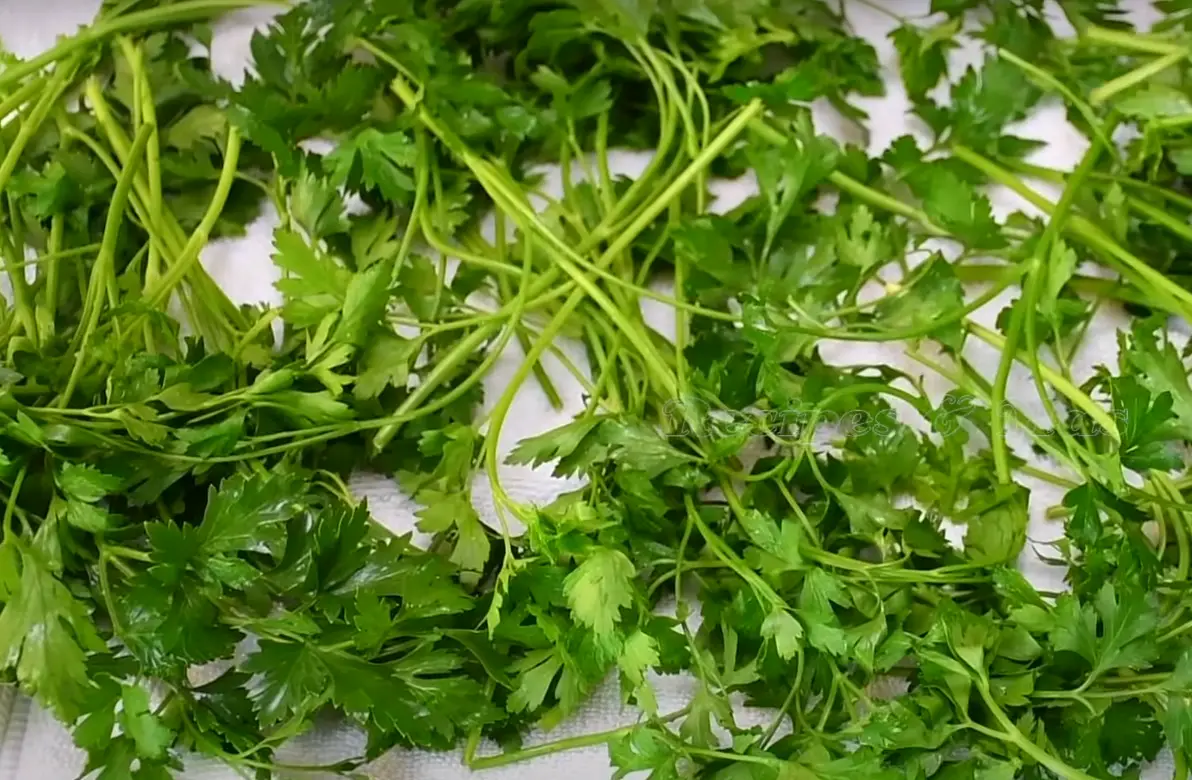 How to Harvest Parsley Without Killing the Plant? - GardenProfy