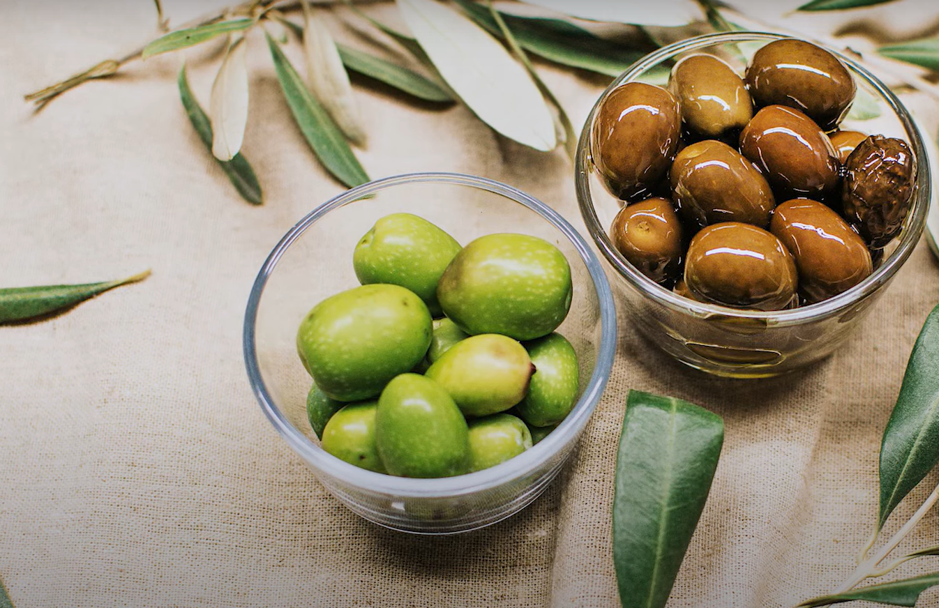 Olive Tree Losing Leaves: How to Fix? - GardenProfy