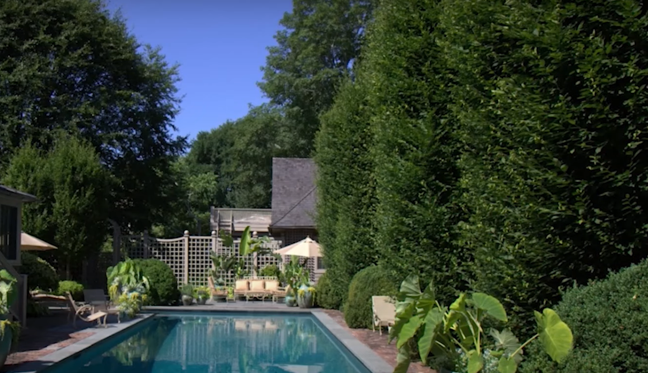 Pool Landscaping Ideas for Privacy - GardenProfy