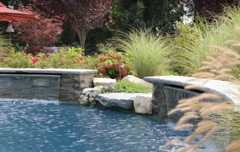 Pool Landscaping Ideas for Privacy - GardenProfy