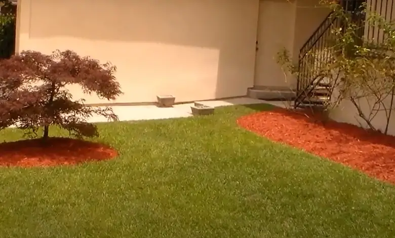 Red Mulch Landscaping Ideas - GardenProfy