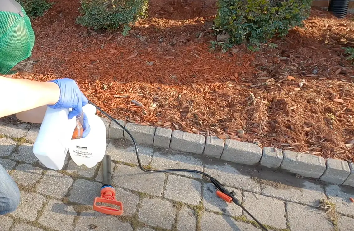 Red Mulch Landscaping Ideas - GardenProfy