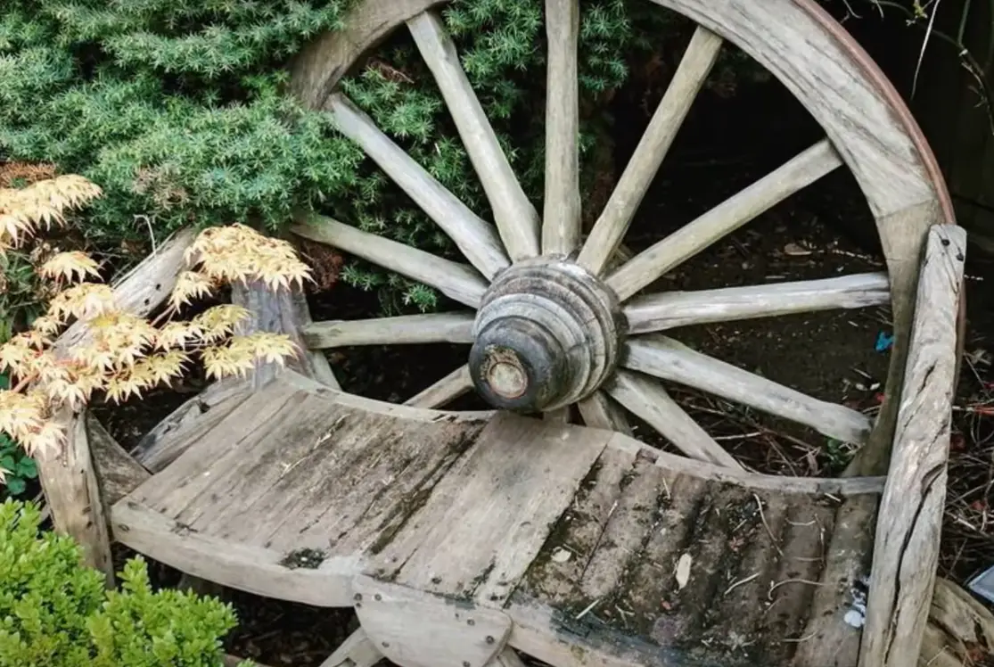 Wagon Wheel Garden Ideas - GardenProfy