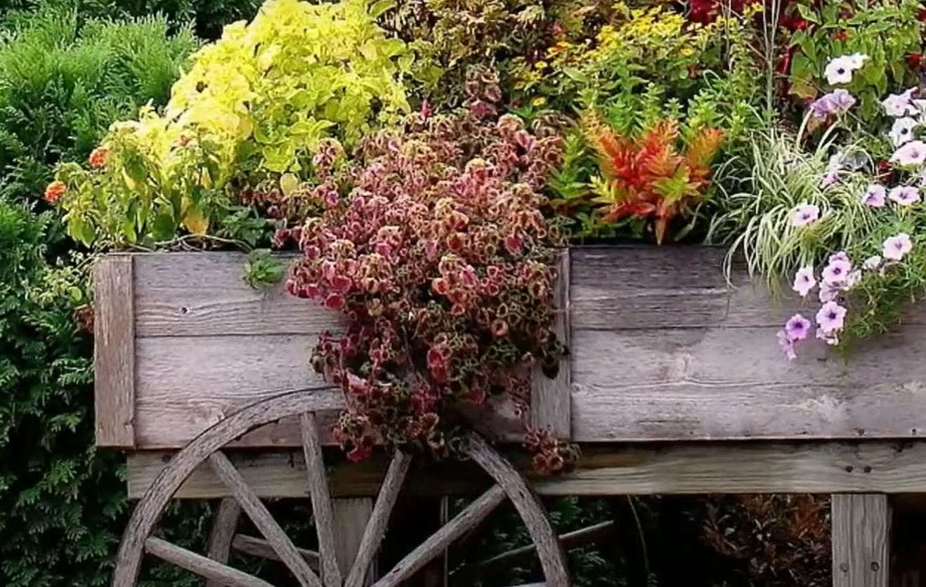 Wagon Wheel Garden Ideas - GardenProfy