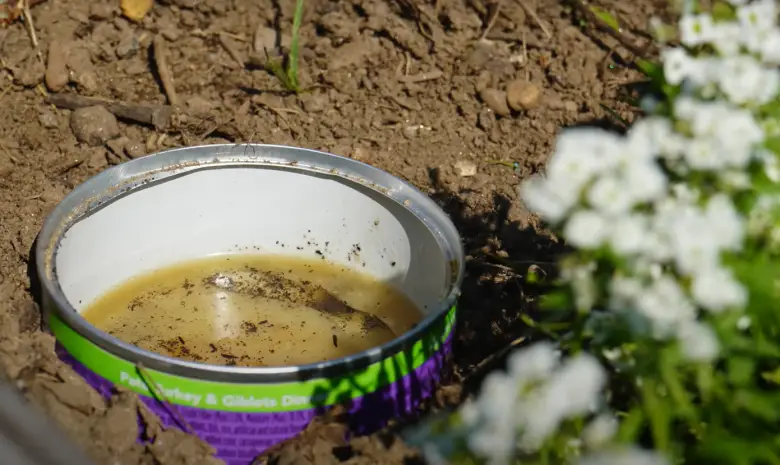 What Animals Eat Pepper Plants in the Garden? - GardenProfy