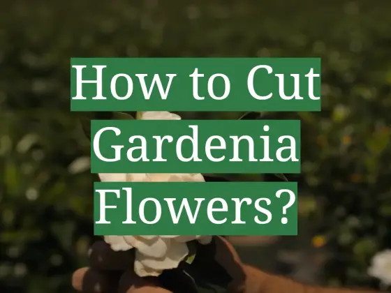 How to Describe a Garden? - GardenProfy