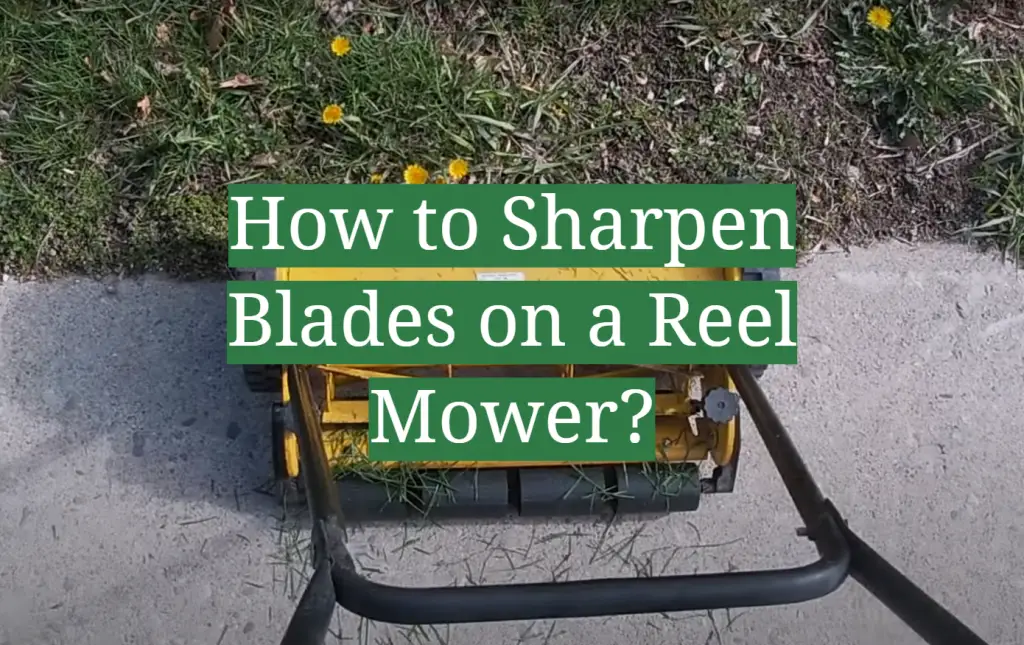 How to Sharpen Blades on a Reel Mower? - GardenProfy