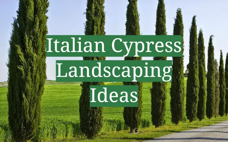 Italian Cypress Landscaping Ideas - GardenProfy