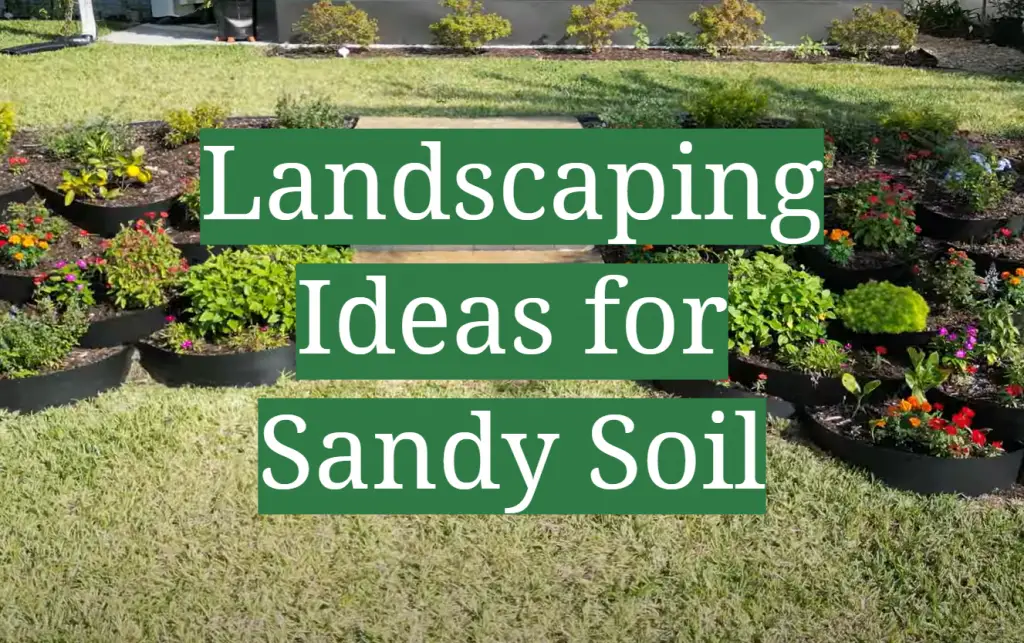 Landscaping Ideas for Sandy Soil - GardenProfy