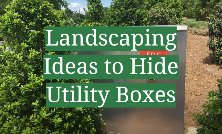 Landscaping Ideas to Hide Utility Boxes - GardenProfy