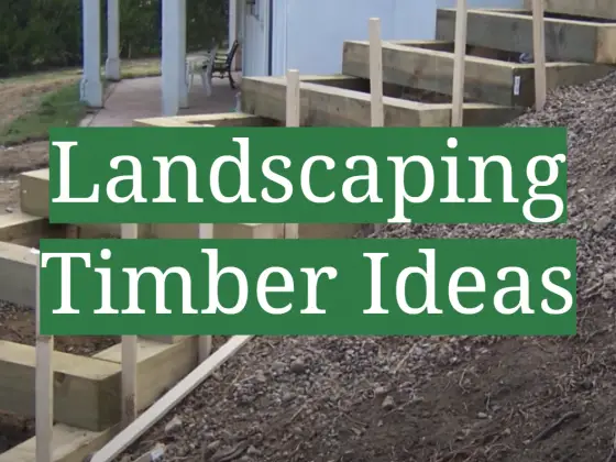 Property Line Landscaping Ideas - GardenProfy