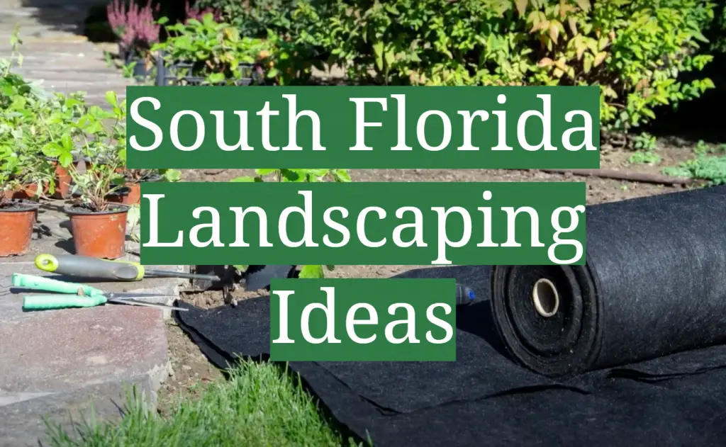 South Florida Landscaping Ideas - GardenProfy