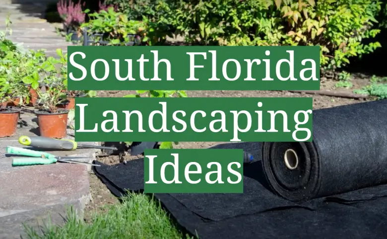 South Florida Landscaping Ideas - GardenProfy