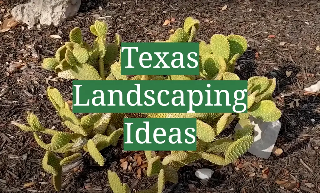 Texas Landscaping Ideas - GardenProfy
