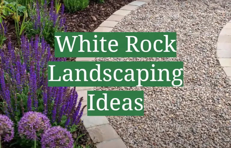 White Rock Landscaping Ideas - GardenProfy