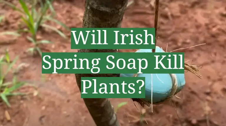 Will Irish Spring Soap Kill Plants? - GardenProfy