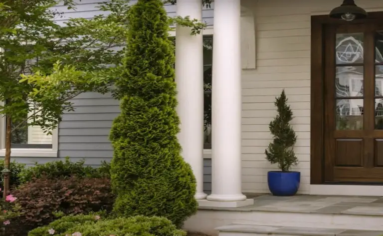 Corner Lot Landscaping Ideas - GardenProfy