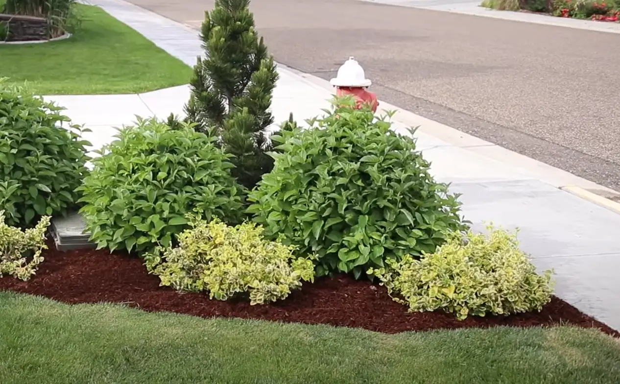 Corner Lot Landscaping Ideas - GardenProfy