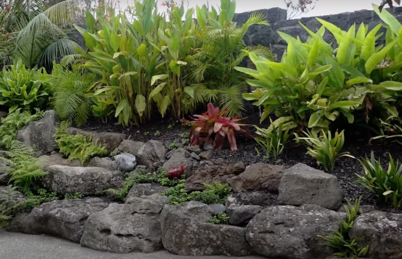 Hawaii Landscaping Ideas - GardenProfy